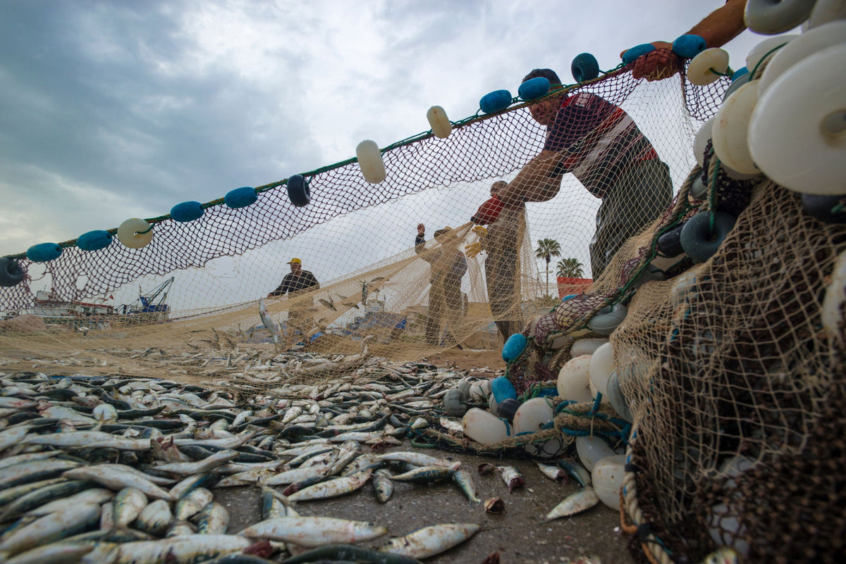 The Economic Impact of Microplastics on Coastal Communities